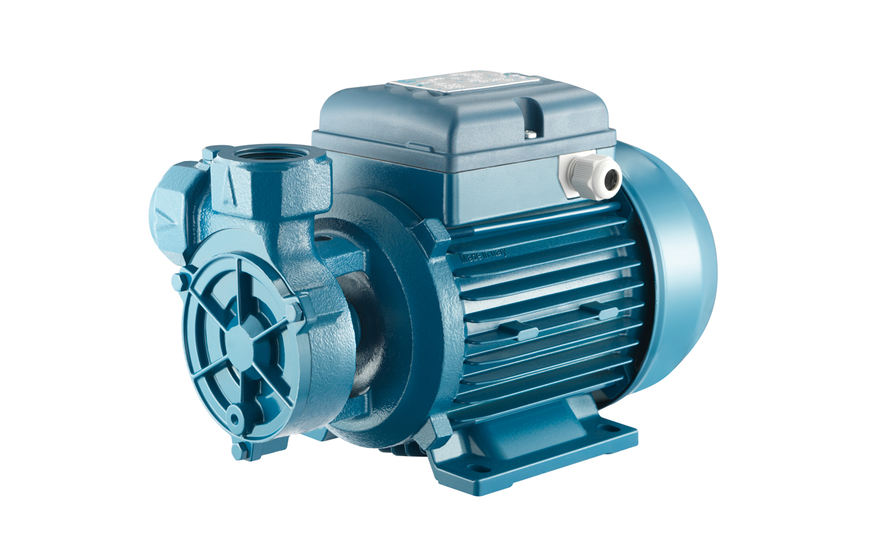 CP75 230V SIURBLYS - www.siurbliai.lt